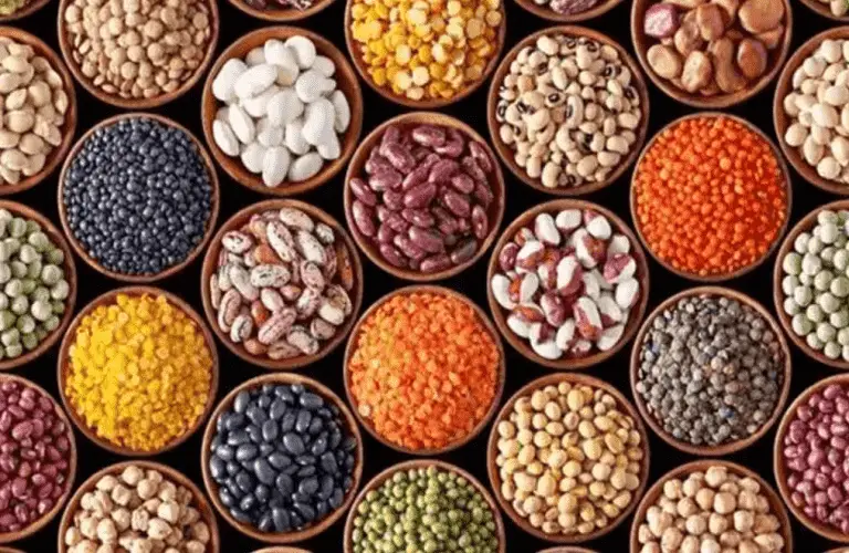 What is Homogenous Market? – Nimble Freelancer