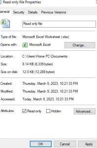 How to Remove ‘Read-Only’ from Excel? – Nimble Freelancer