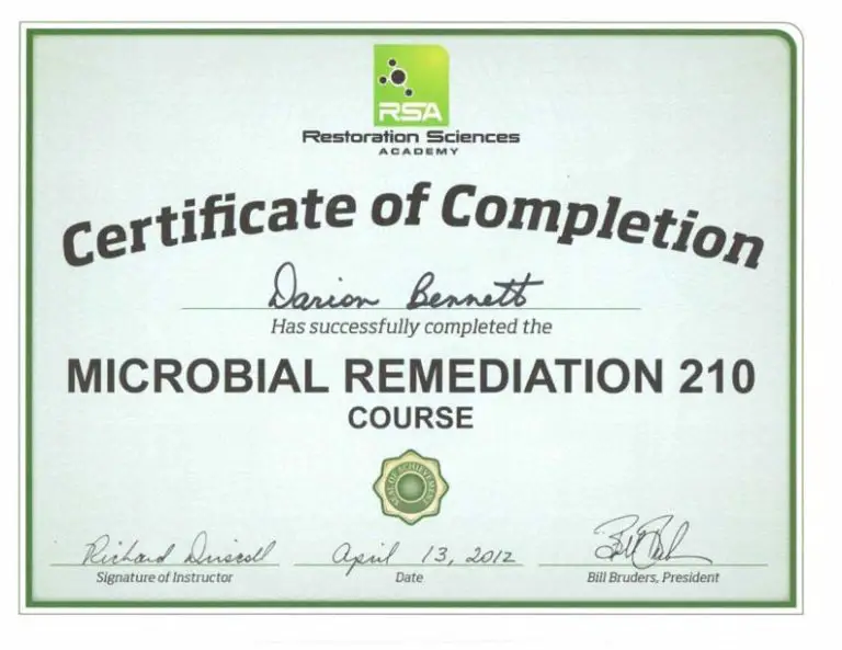 How to Become a Certified Mold Inspector in the US? – Mold Remediation ...