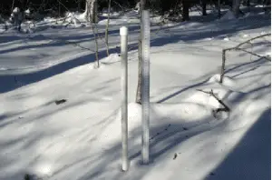 Check Frost Line Depth By Zip Code – Frost Lines By State in 2024 ...