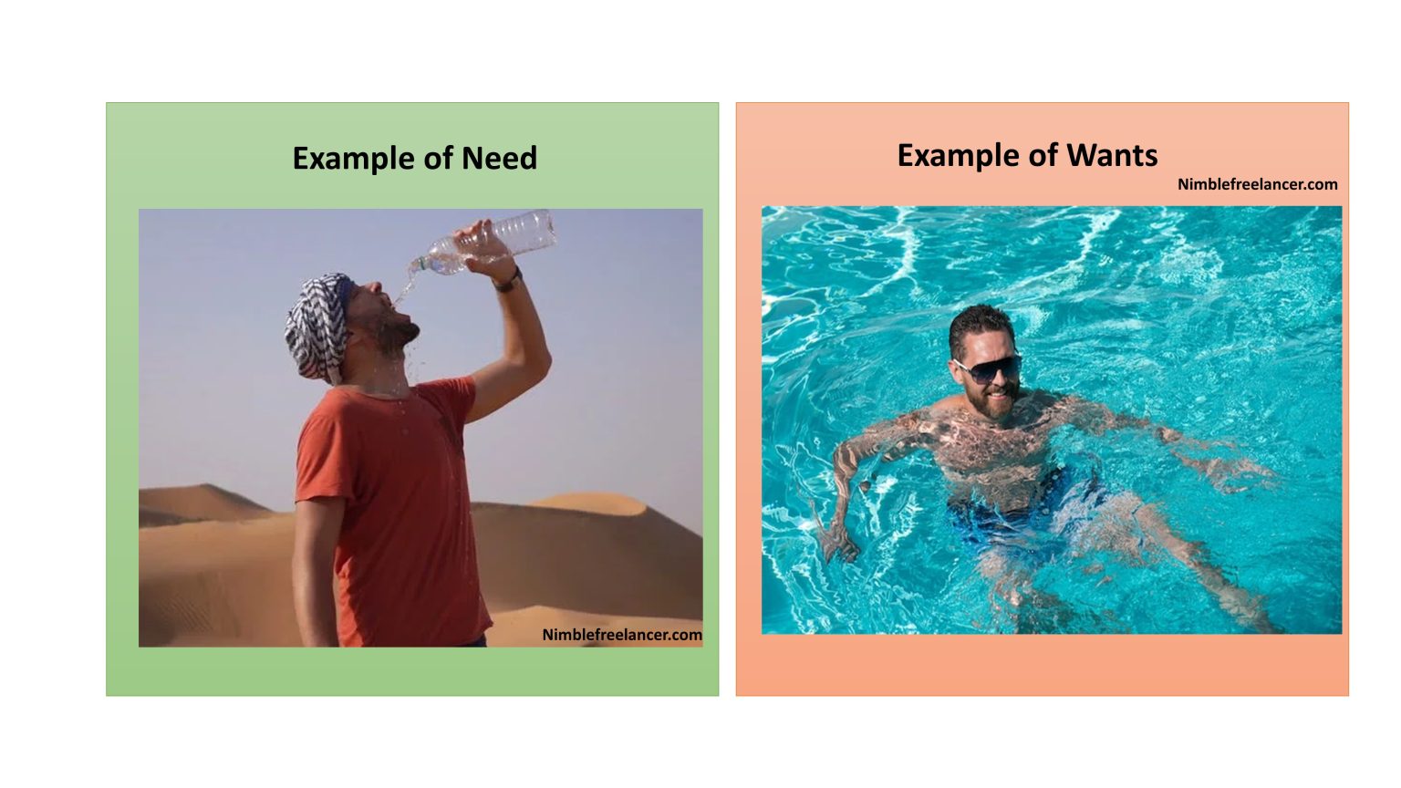 153 Best Needs and Wants Examples – Nimble Freelancer