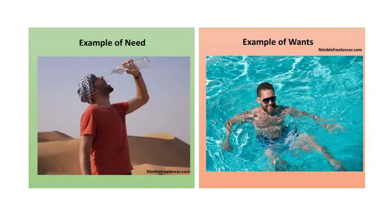 153 Best Needs and Wants Examples – Nimble Freelancer